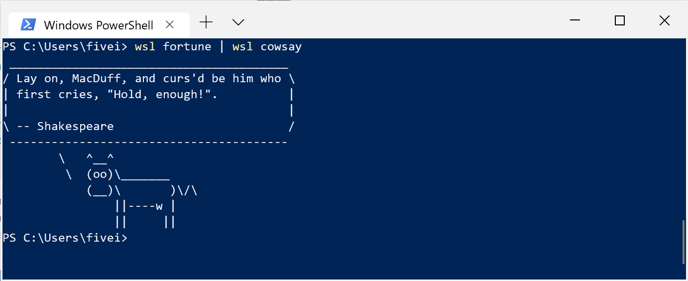 Using WSL 2 With Visual Studio Code