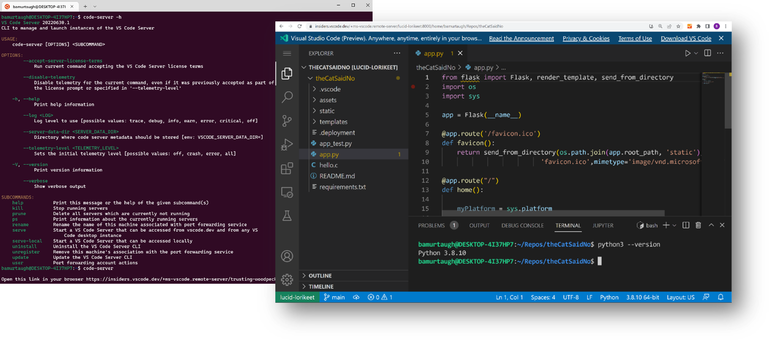 The VS Code Server